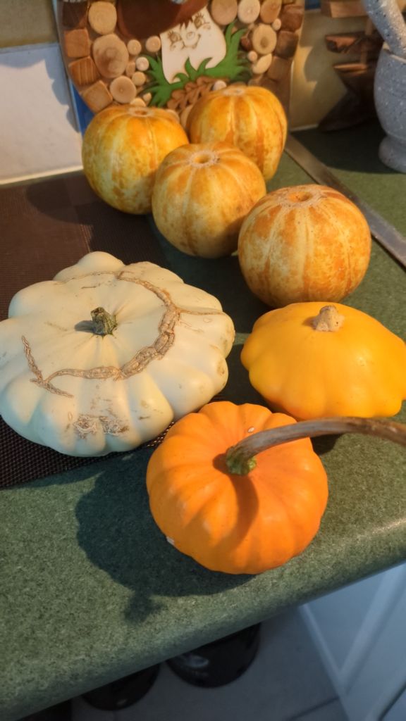 Pumpkin and lemon cucumber | few words-uncountable colours
